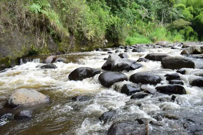 Más de 36 fuentes hídricas del Quindío en estudio Más de 36 fuentes hídricas del Quindío en estudio