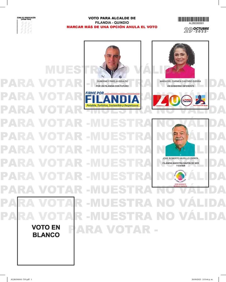 Conozca las tarjetas electorales definitivas para las elecciones a la ...