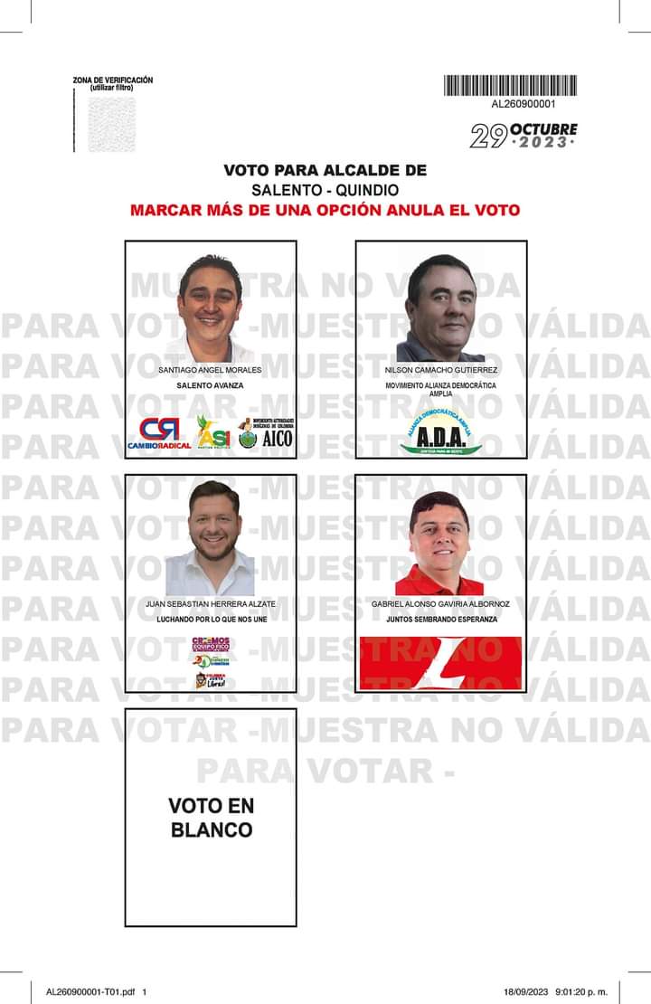 Conozca las tarjetas electorales definitivas para las elecciones a la ...