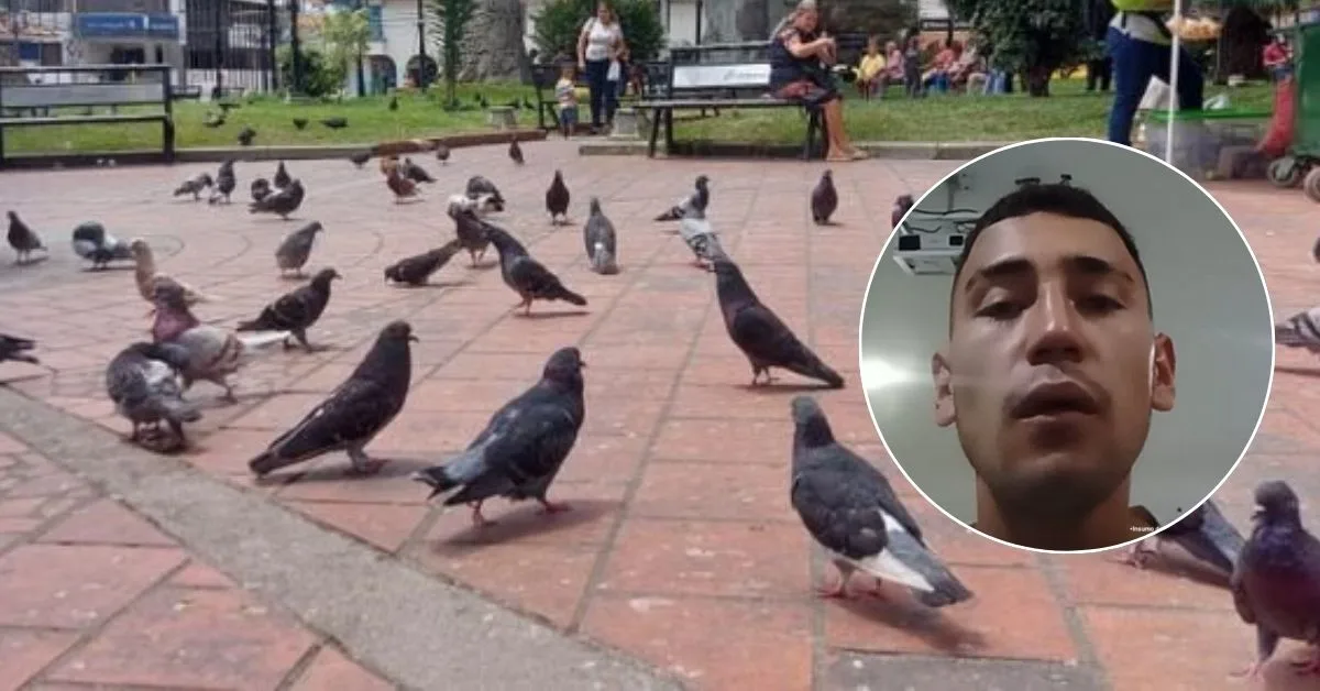 Judicializado hombre en Ocaña por causar la muerte de dos palomas con ...